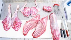 Teil 3: Rehwild richtig zerwirken - Frankonia Blog